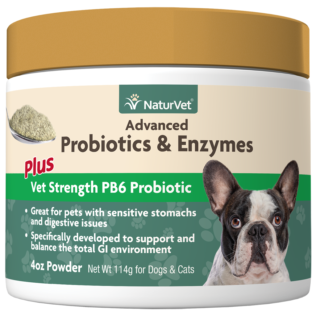 NV Advanced Probiotics & Enzymes Powder 4oz — Kibbles & Biscuits