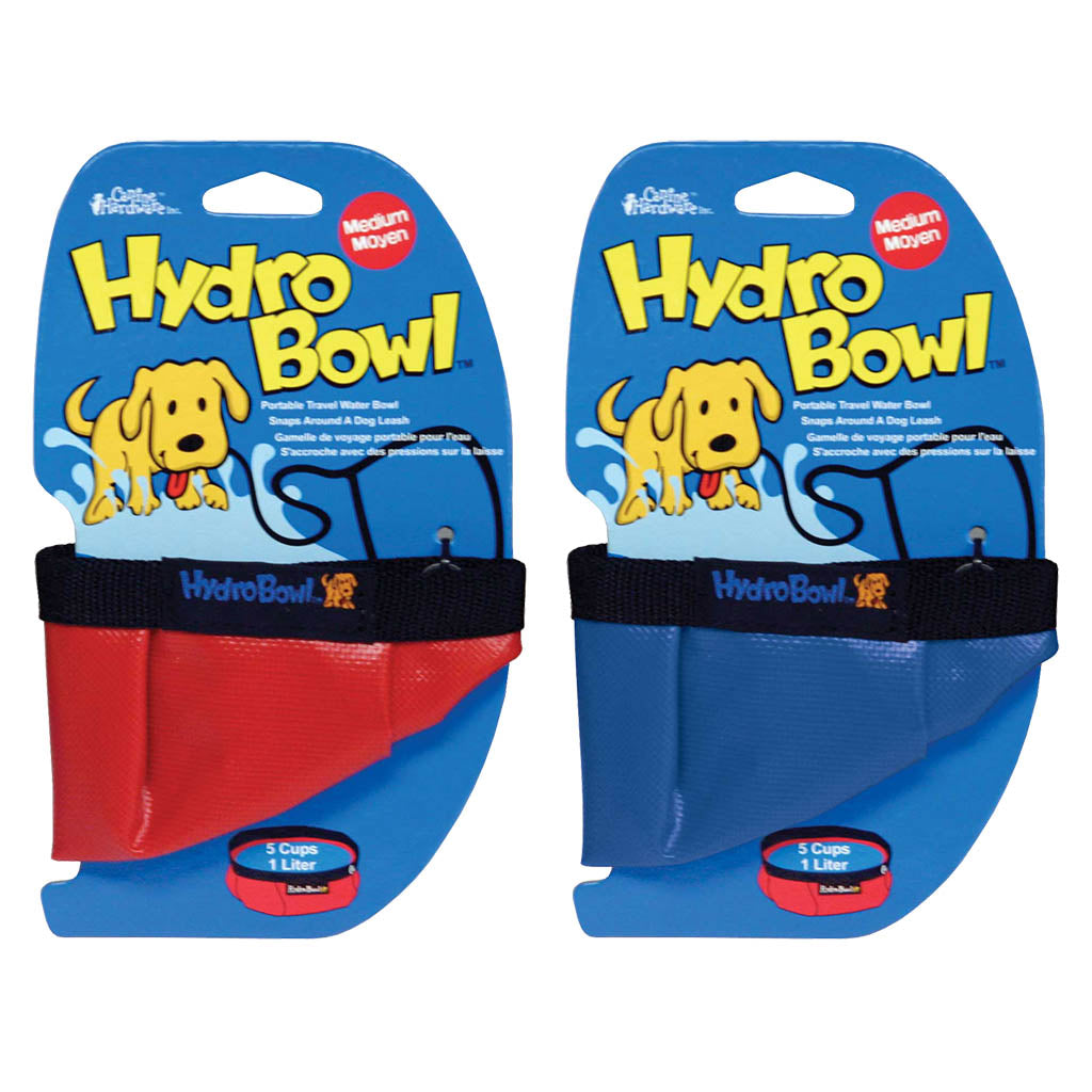 Chuckit! Hydro Bowl Medium — Kibbles & Biscuits