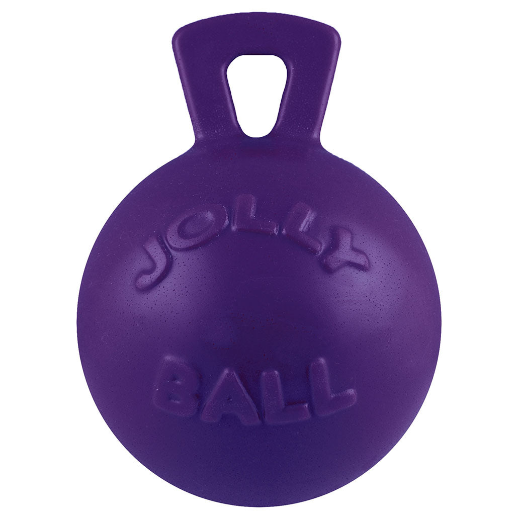 Jolly Ball Tug N Toss Purple 8" — Kibbles & Biscuits