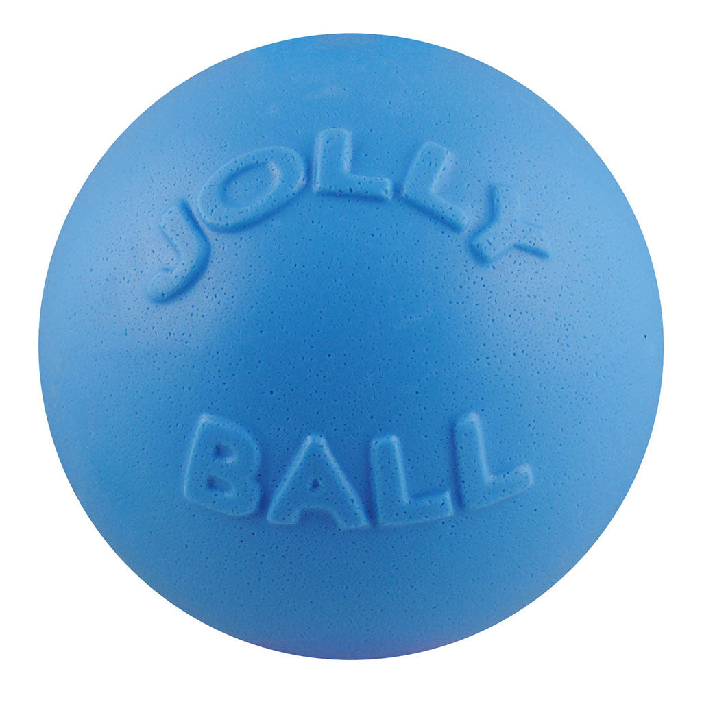 Jolly Bounce N Play Ball Blueberry 6" — Kibbles & Biscuits